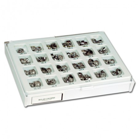 First Permanent Molar Crown Kit