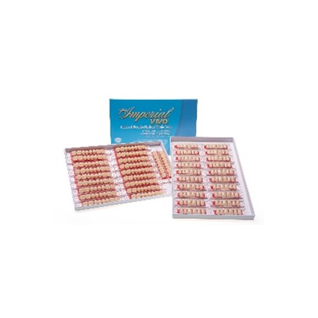 Justi Imperial ViVO Upper Anterior Central Incisors Only Card