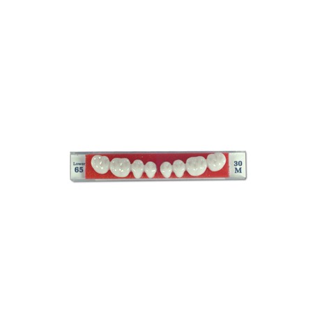 Justi Imperial Block Teeth - Lower