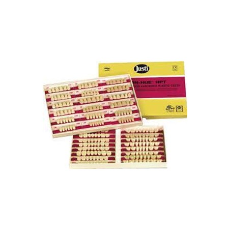 Justi Dymon Hue Repair Kit – Posterior - Lower