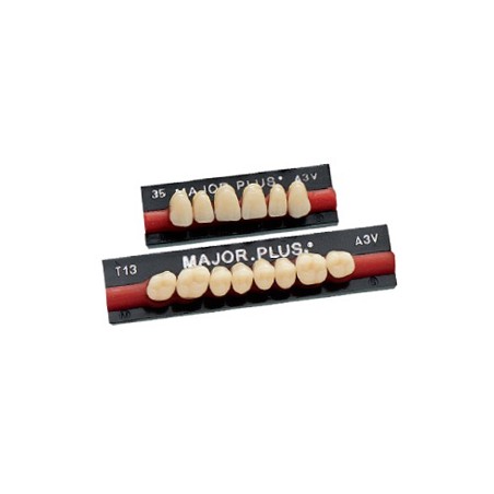 Major Plus Lower Posterior